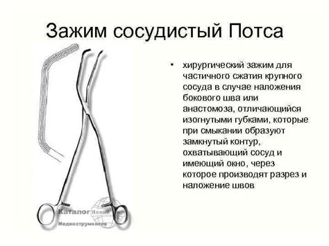 ГБОУ ВПО Красноярский государственный медицинский университет им проф