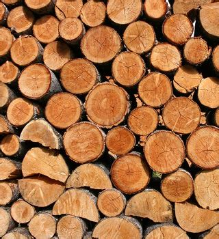 Falling4You Firewood Hamilton firewood supplier