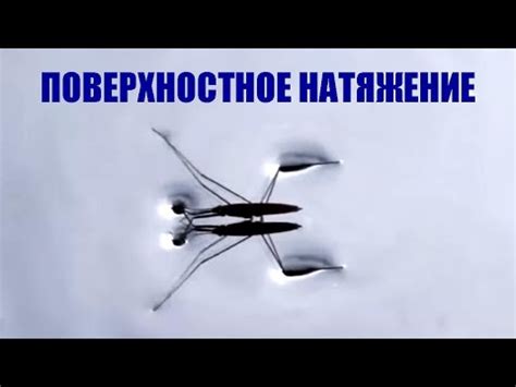 Поверхностное натяжение - YouTube