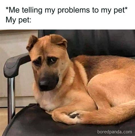 A Selection Of The Most Relatable Memes You’ll Find | Bored Panda