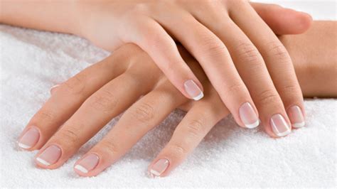 What is Nail? - Earth.com