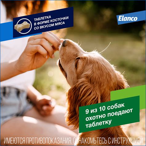 Антигельминтик для собак Elanco Дронтал плюс 2таблетки купить по цене ...