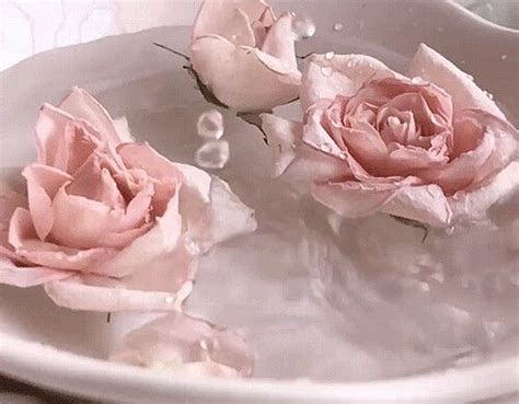 Всегда хочеmся nочувсmвоваmь, а не nоняmь... | OK.RU | Fiori, Sfondi ...
