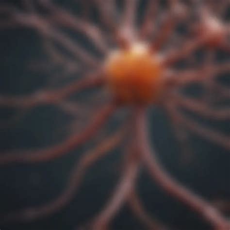 Exploring Neuron Origin: Foundations of Neural Development