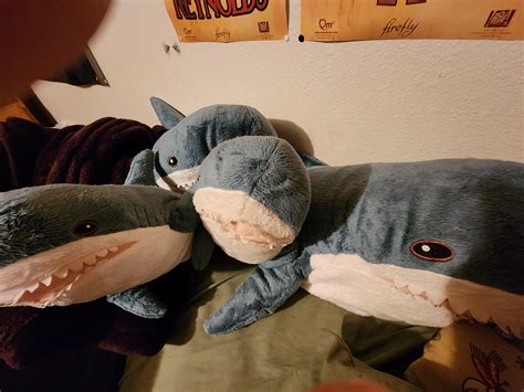 They are multiplying : r/BLAHAJ