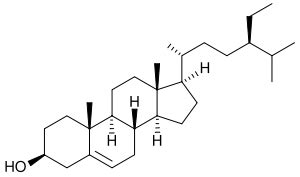 Fitosterol - Türkçe Bilgi