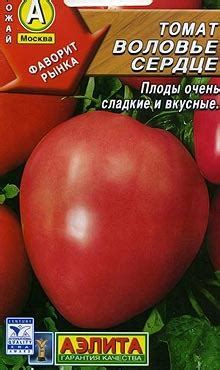 Как вырастить крупные помидоры: в открытом грунте, в теплице. Крупные ...
