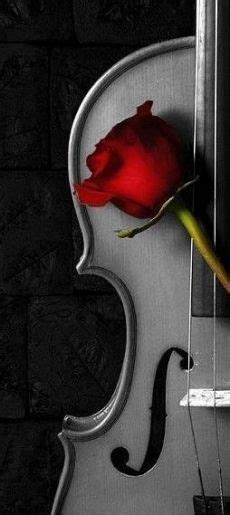 черное | Violin art, Violin, Violin music