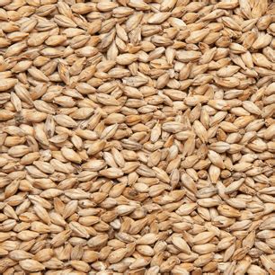 Солод Biscuit Malt ~ 50 EBC Castle Malting 1 кг от производителя в ...