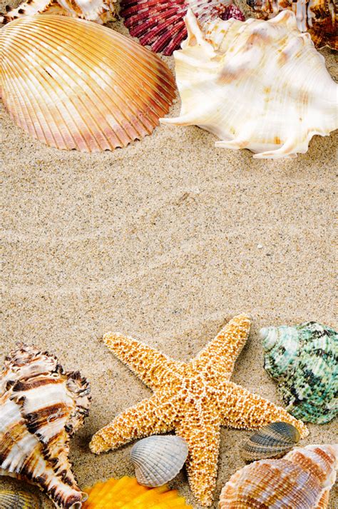 Песок с ракушками — Sand with shells