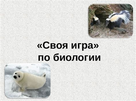 Своя игра по биологии
