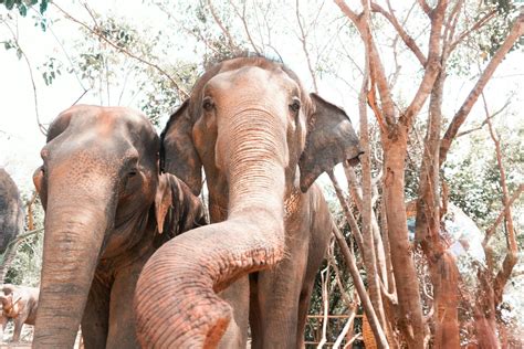 Best Things To Do In Phuket, Thailand - TrypSpot