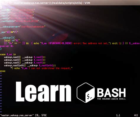 Learning bash scripting for beginners - nixCraft