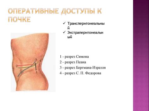 Основы урологии - презентация онлайн