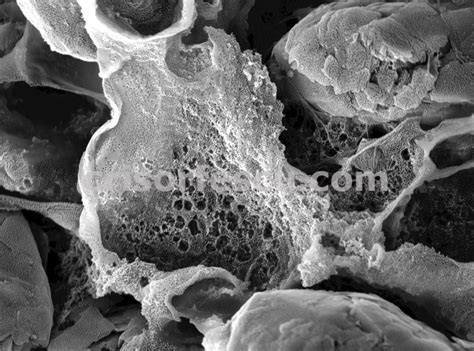 Nano Hammocks – Relaxation at Nano Level – NanoArt – Cris Orfescu