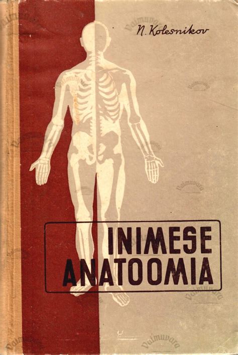 Inimese anatoomia - Nikolai Kolesnikov - Vaimuvara