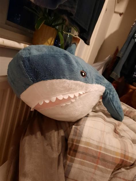 Help name my sharky! : r/BLAHAJ