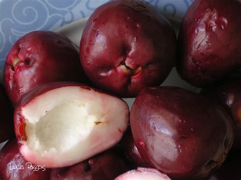 Jambo | O jambo tem um aroma de rosas e delicioso sabor leve… | Flickr