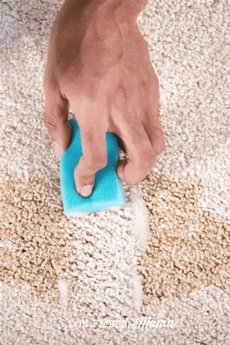 8 Ways to Deodorize and Clean Carpet Smells Naturally - Don’t Mess with ...