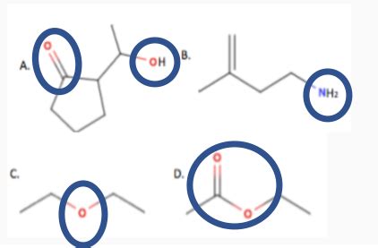 Circle and name the functional groups in the molecules shown below. | Study.com