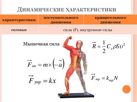 Биомеханические характеристики движения спортсмена - презентация онлайн