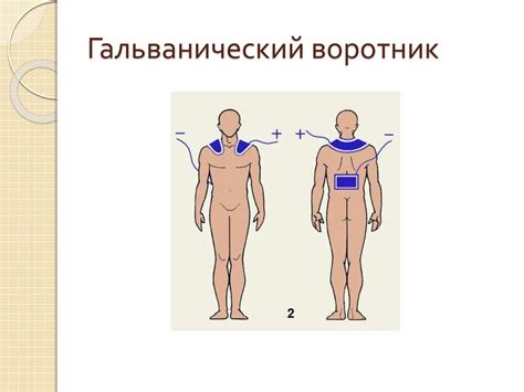 Дискинезии желчевыводящих путей - презентация онлайн