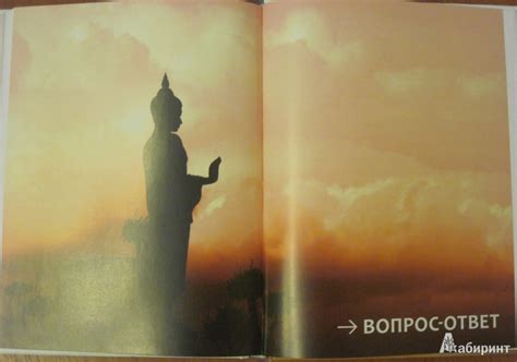 Книга: Йога Айенгара для начинающих. Основы для самостоятельных занятий ...