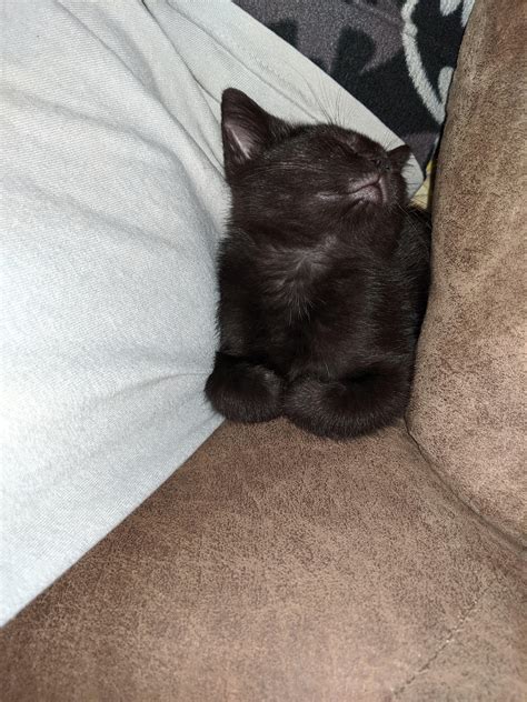 She fell asleep like this... : r/TIGHTPUSSY