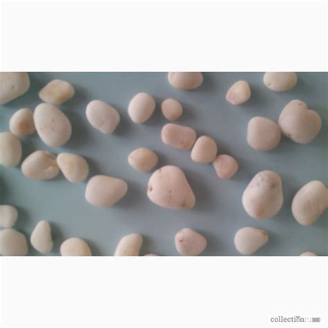 Продам морские камушки, купить морские камушки, Москва — CollectionRU