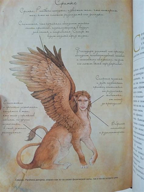 Книга: Энциклопедия магических чудищ. Анатомическое исследование ...