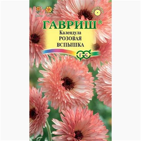 Календула Розовая вспышка Гавриш (97688): купить семена почтой в России ...