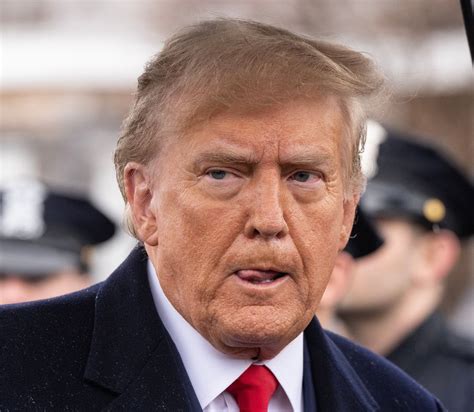 Focus on Project 2025 is driving Trump's campaign 'a little bit nuts ...