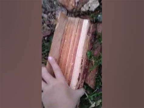 дрова - YouTube