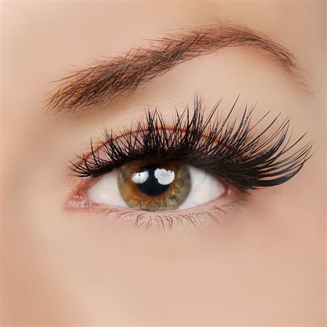 True Beauty Lashes | Original Inspo Lash Style