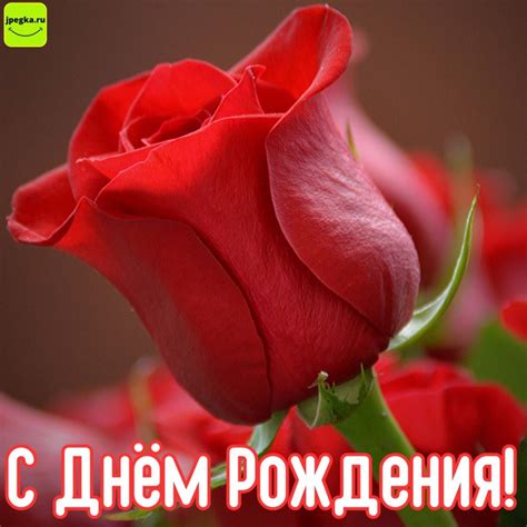 Открытки с Днём Рождения женщине с цветами: 130 картинок