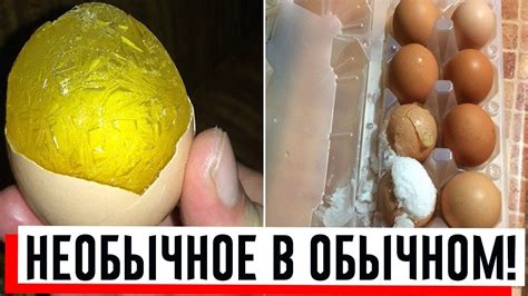 Дочка по ошибке положила яйца в морозилку: теперь так поступаем всегда ...