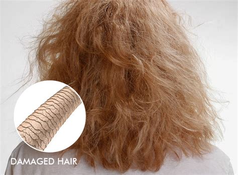 OUR STORY - kooplex-professional hair care