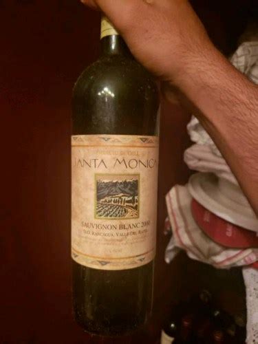 Santa Mónica Sauvignon Blanc | Vivino US