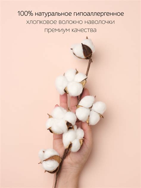 Рич-контент для Озон, Wildberries, Рич-контент Ozon — Разработка рич ...