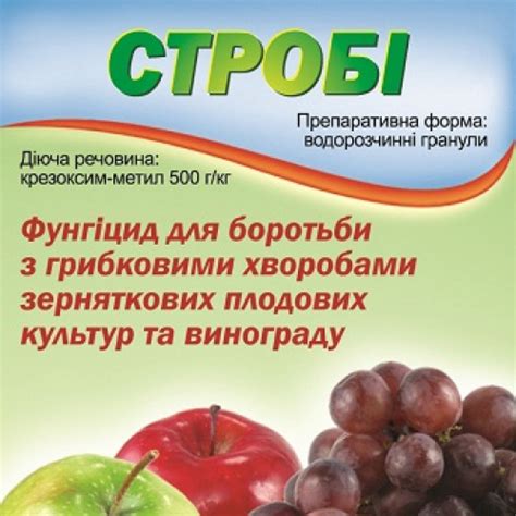 Опрыскивание винограда от болезней – эффективные препараты + Видео