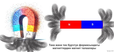 Магнит талаасы