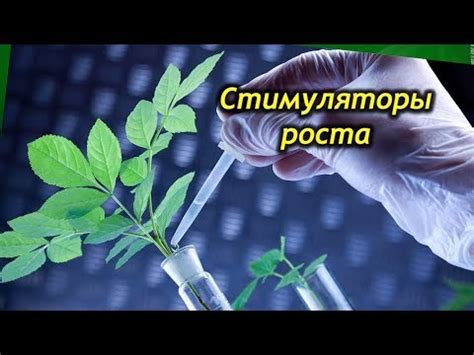 Стимуляторы роста комнатных цветов – все, что нужно знать цветоводу ...