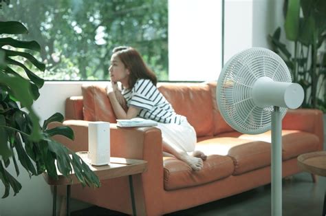 Xiaomi Smartmi Standing Fan 3 - battery fan with ionizer