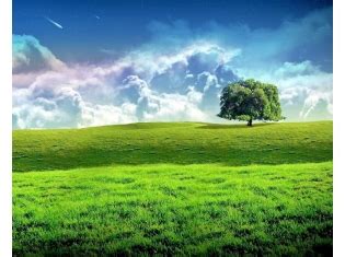Фото обои природа » DreemPics.com - картинки и рисунки на рабочий стол ...