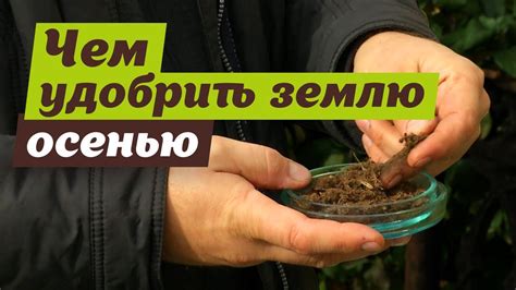 Осенние удобрения для почвы. Советы специалиста. - YouTube