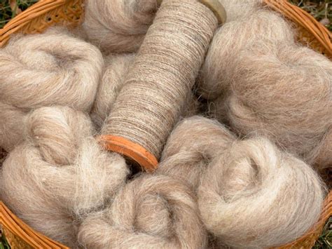 Advantages Of Wool And Its Ideal Clothing Applications