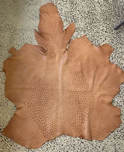 The Intricate Process Of Crafting An Ostrich Jacket | ShunVogue