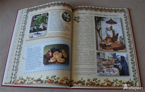 Книга: Прогулки по саду - Елена Ракитина. Купить книгу, читать рецензии ...
