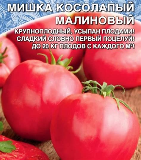 Семена Томат Мишка Косолапый малиновый: описание сорта, фото - купить с ...