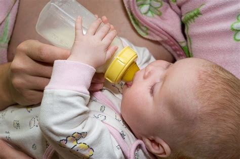 Сколько раз в день должны есть новорожденные дети на грудном ...